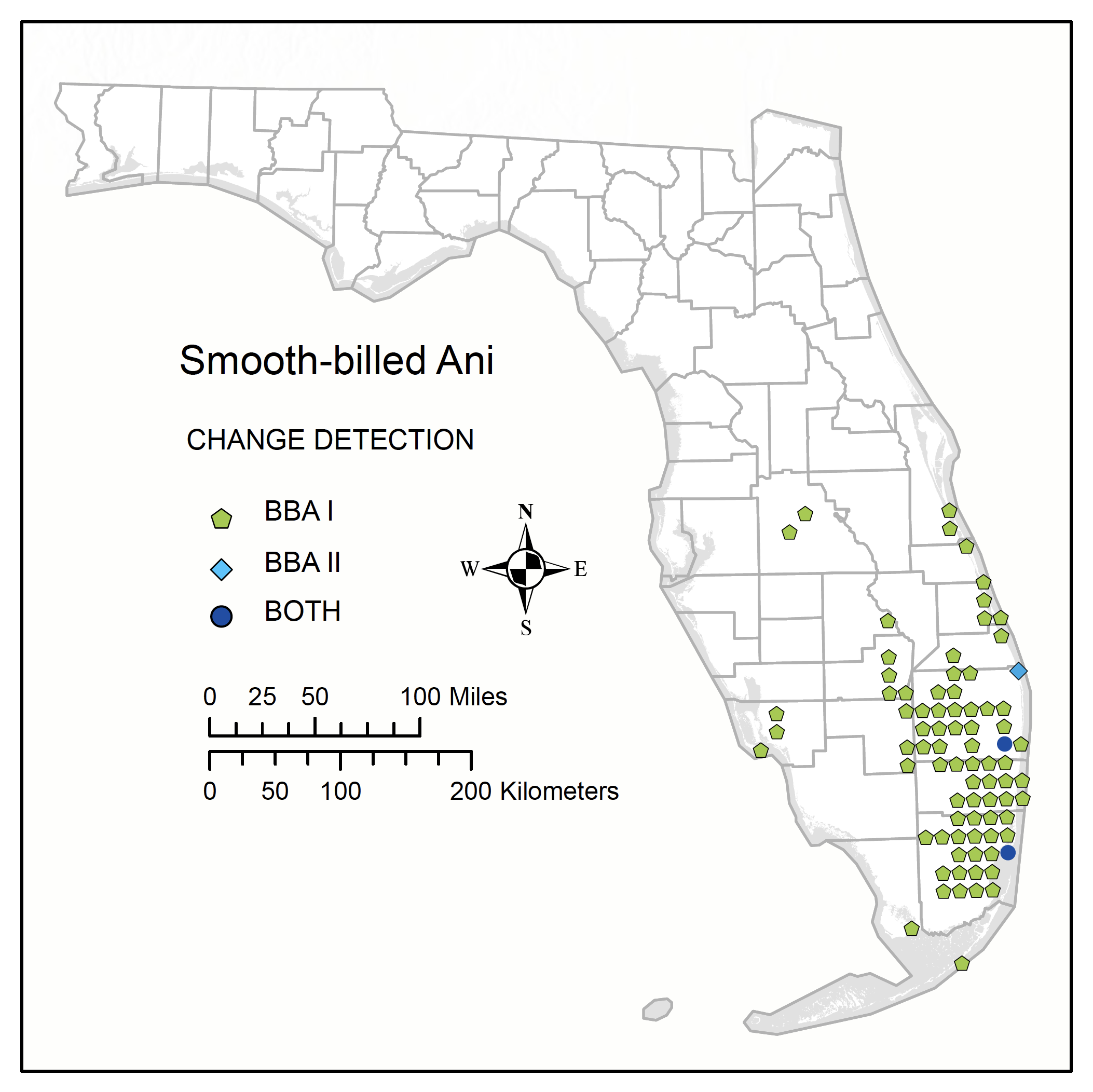 Smooth-billed Ani | Breeding Bird Atlas