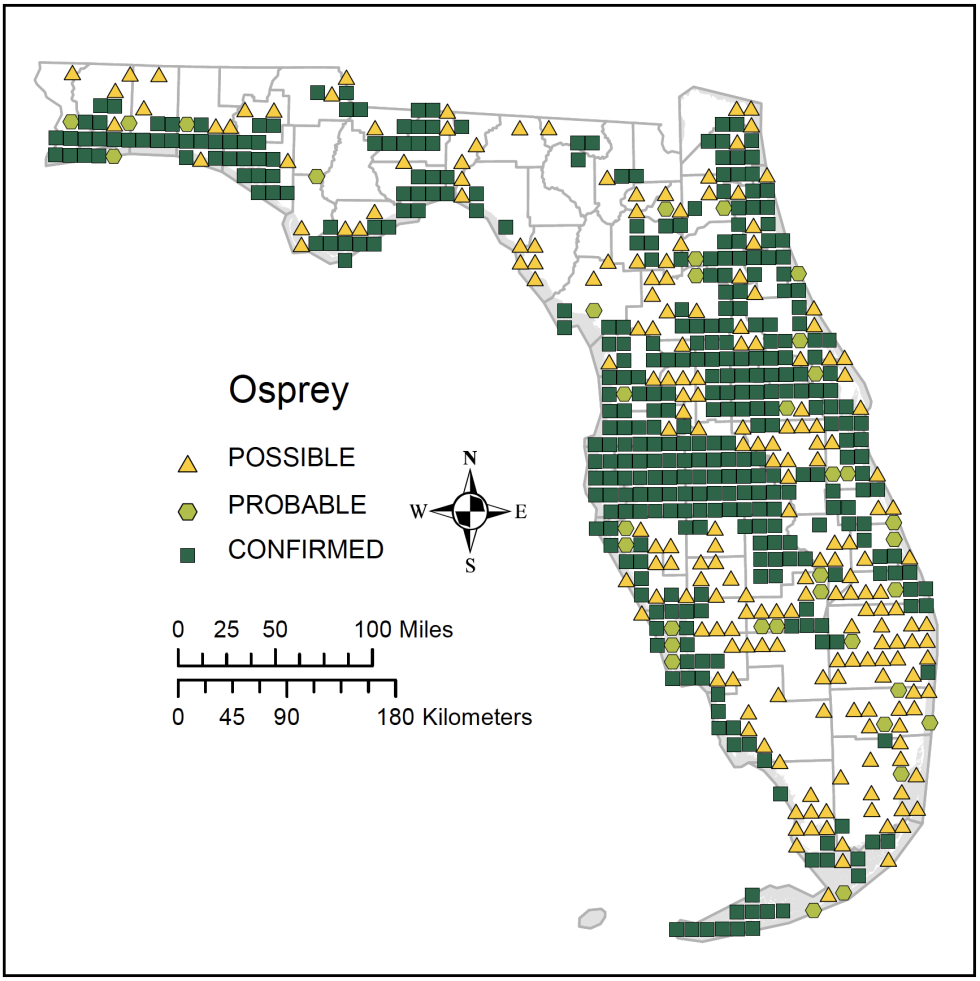 Osprey | Breeding Bird Atlas