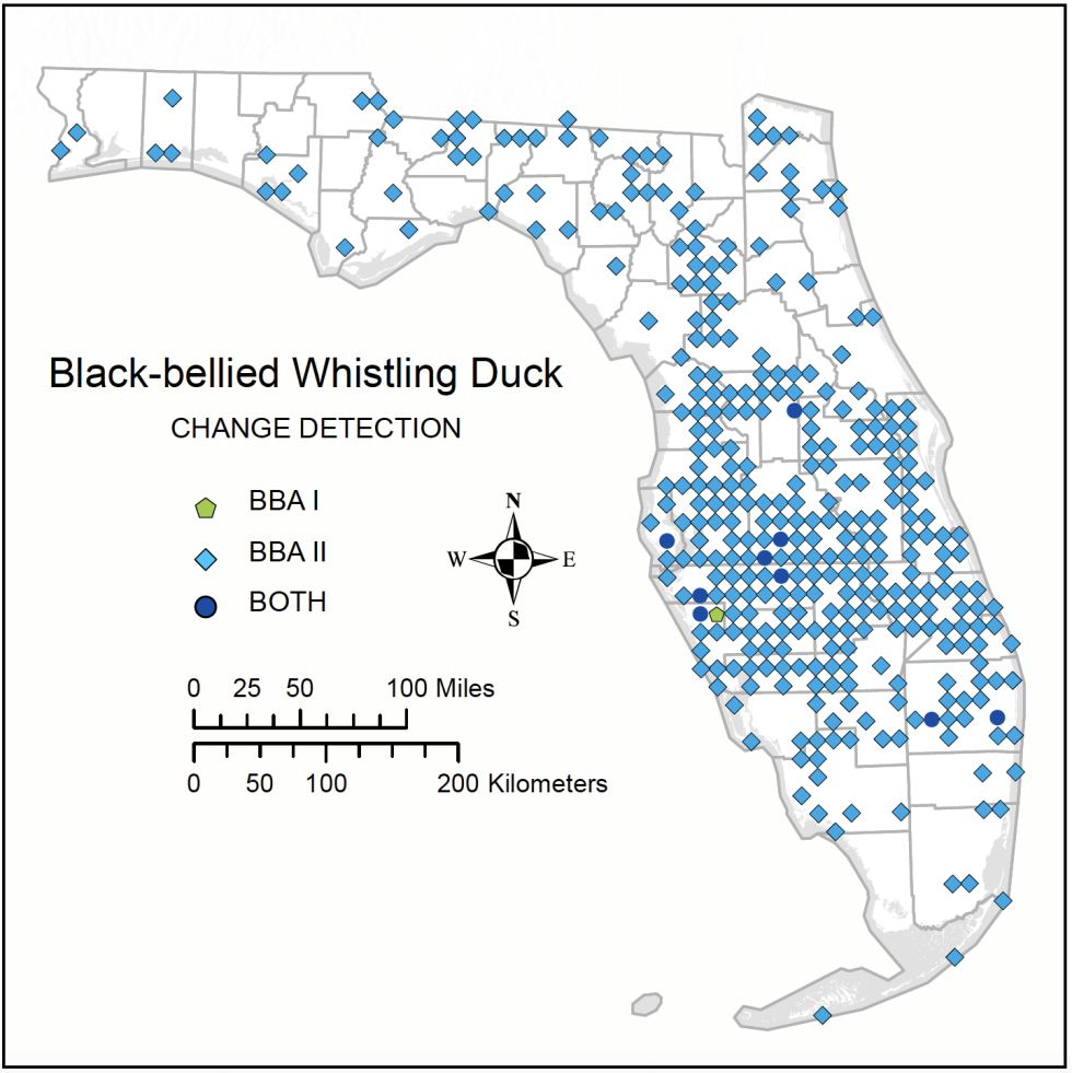 Black-bellied Whistling-Duck | Breeding Bird Atlas