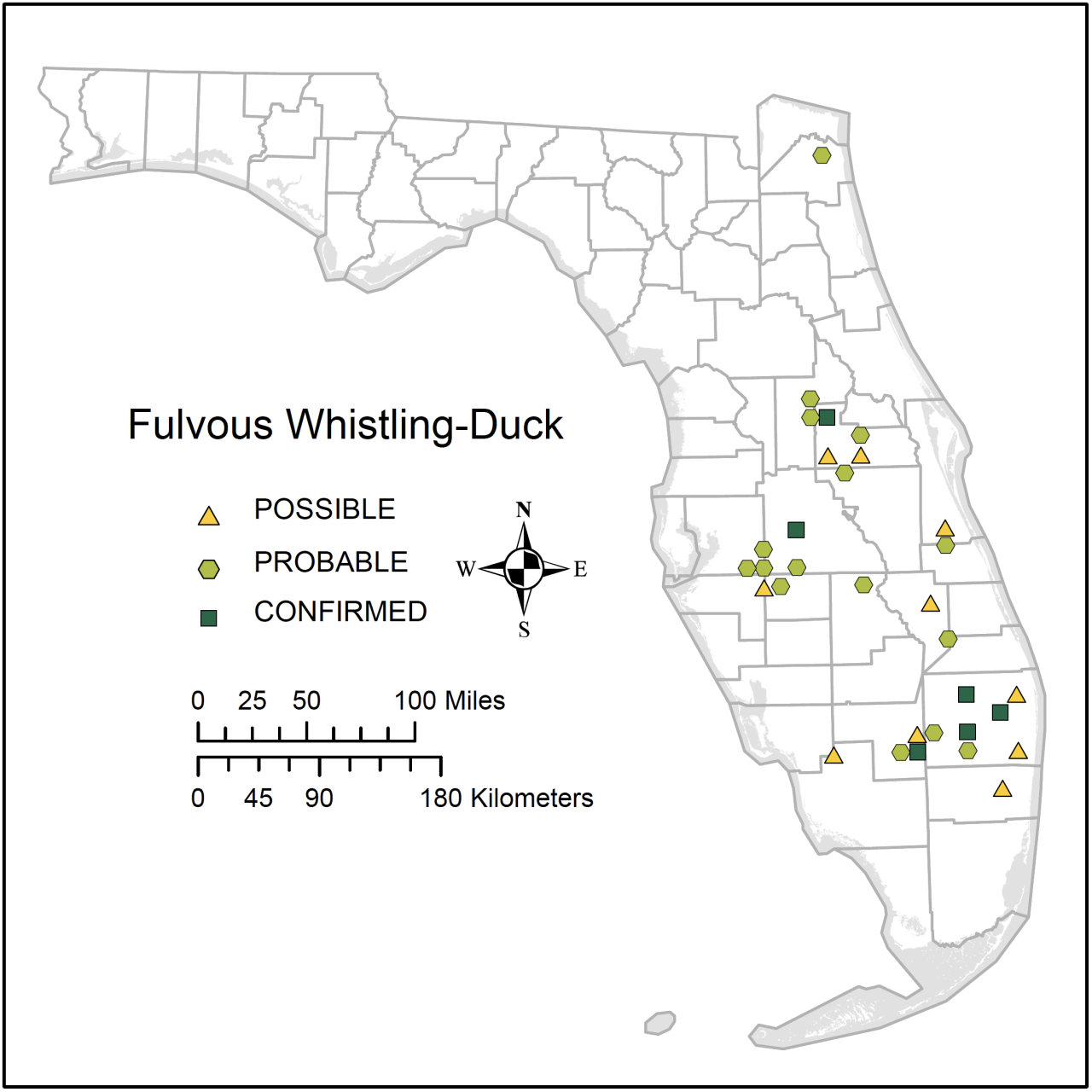 Fulvous Whistling-Duck | Breeding Bird Atlas