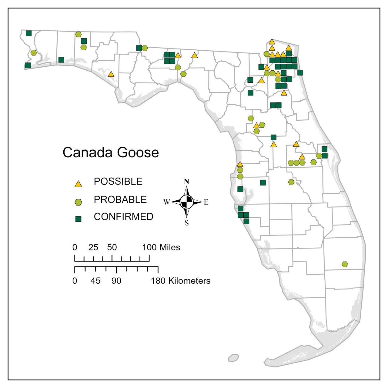 Canada Goose | Breeding Bird Atlas