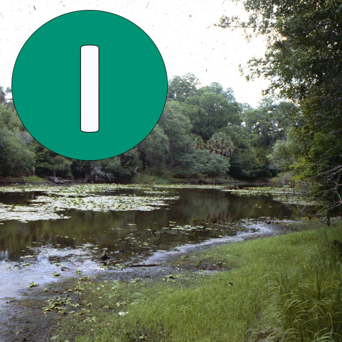 USF Libraries - USF Digital Collections for Environmental and Natural ...