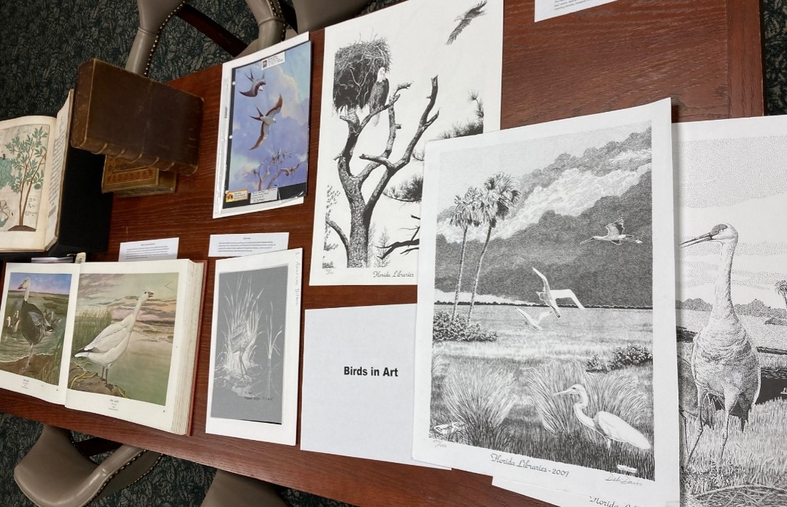 USF Libraries - Illuminating the Archives through Art