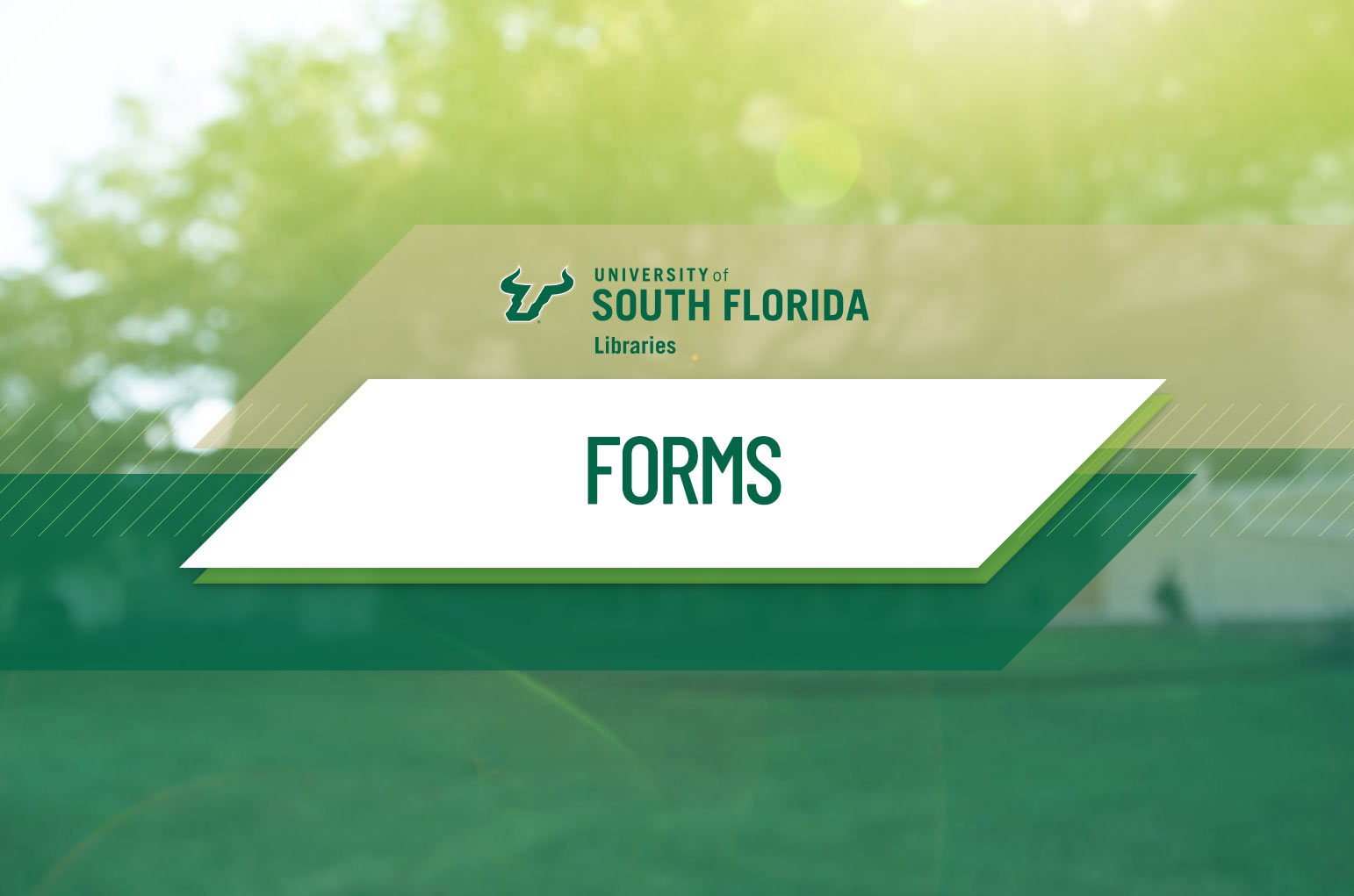 USF Libraries - Special Borrowers Card