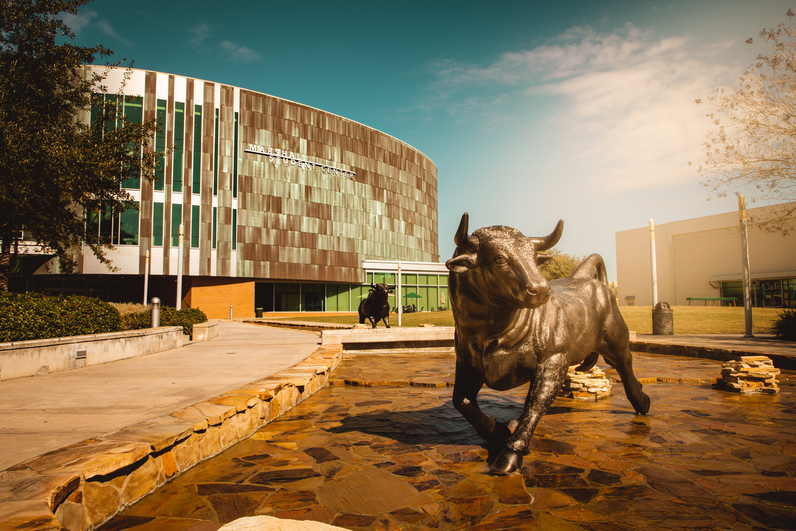 USF Libraries - LIB News